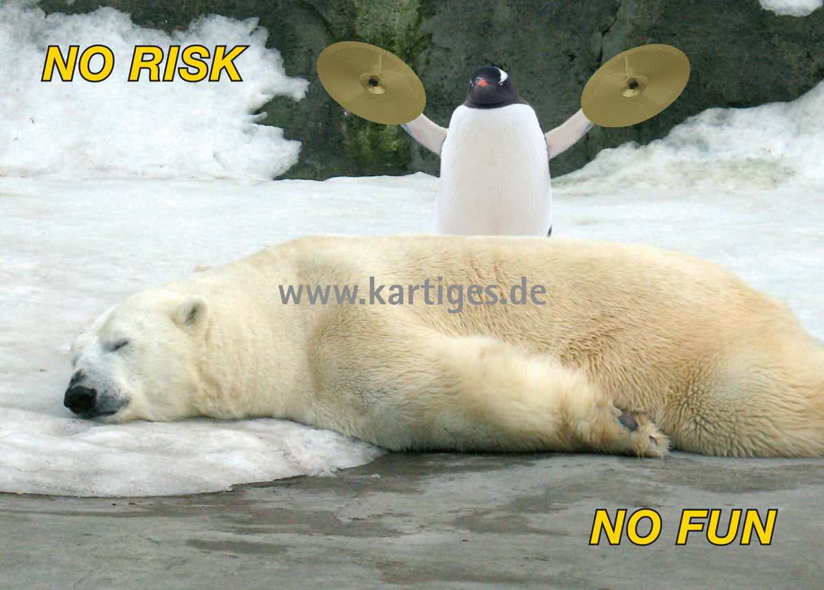 NO RISK - NO FUN – Kartiges